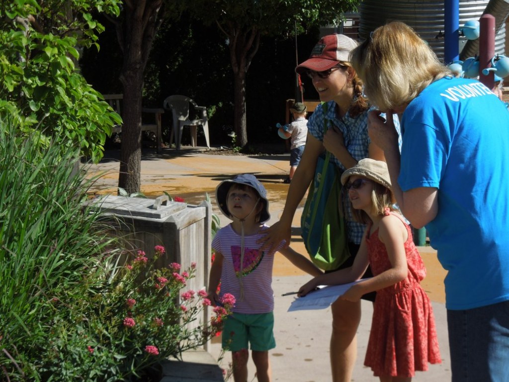 Native Bee Watch Community Science Program | CSU Extension