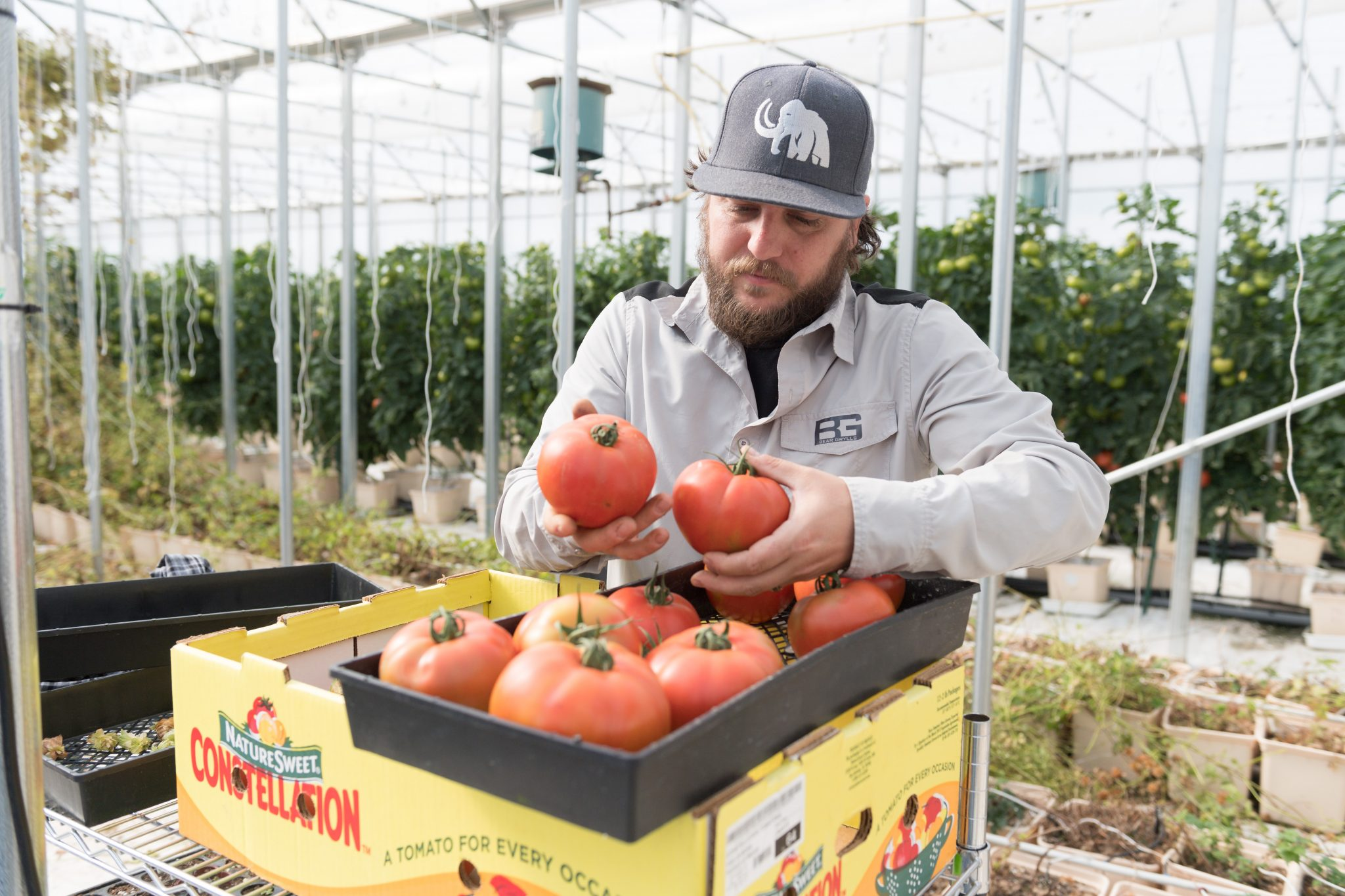 Urban Agriculture - Denver County