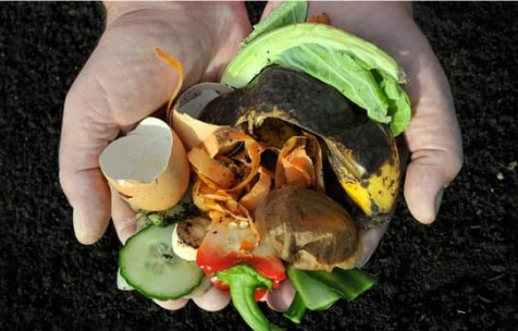 Choosing a Soil Amendment | Colorado State University Extension Website