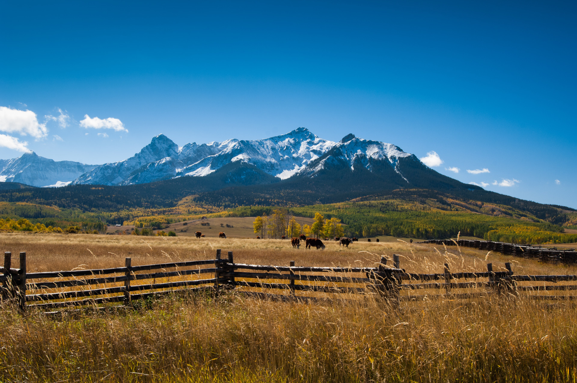 About Us | Colorado State University Extension