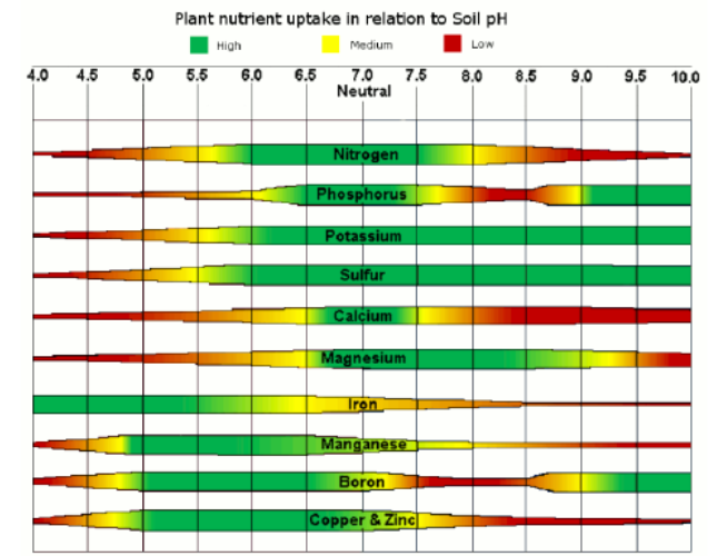 Changing Soil PH | Colorado State University Extension Website