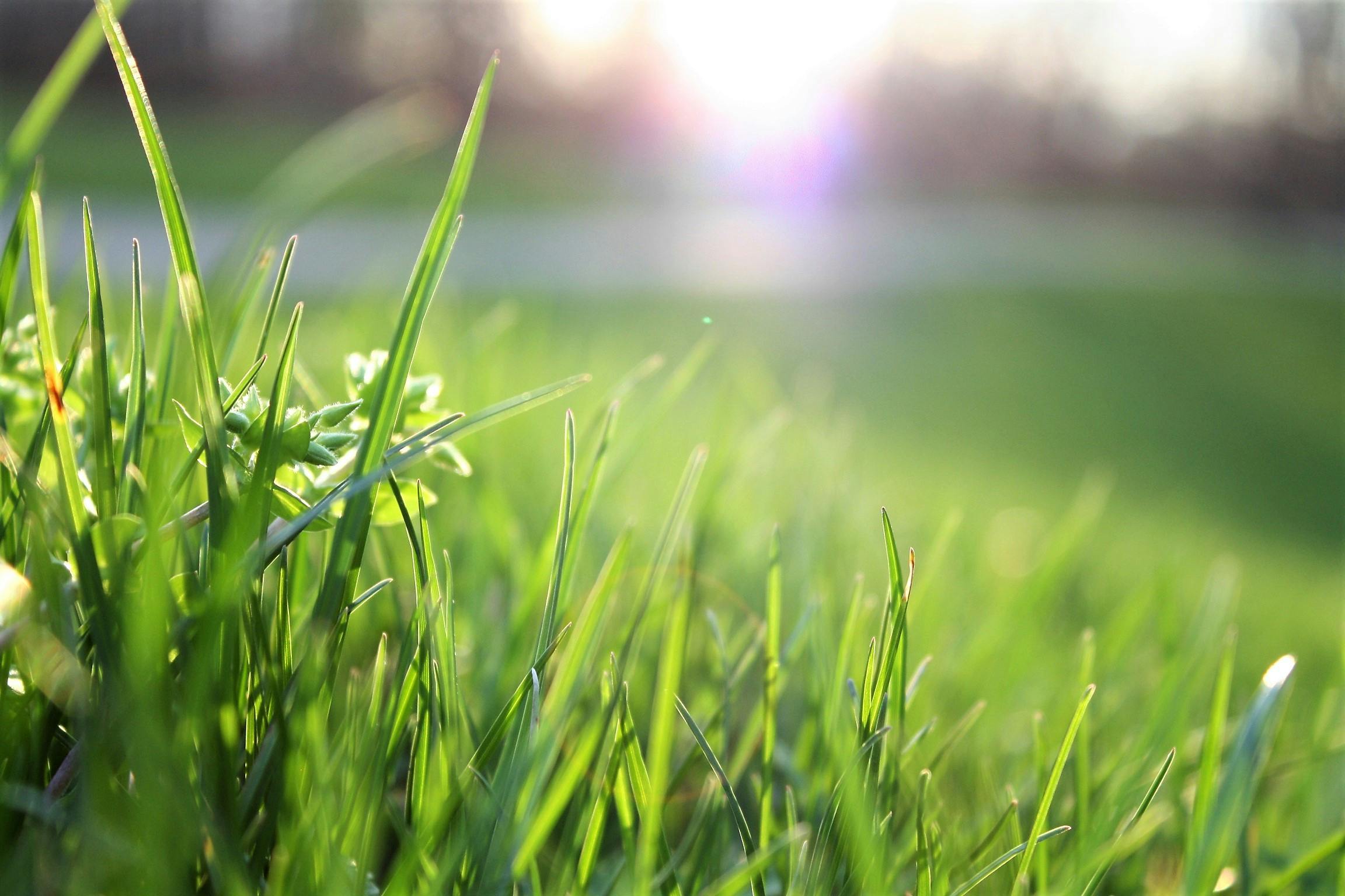 Programs & Services | Colorado State University Extension