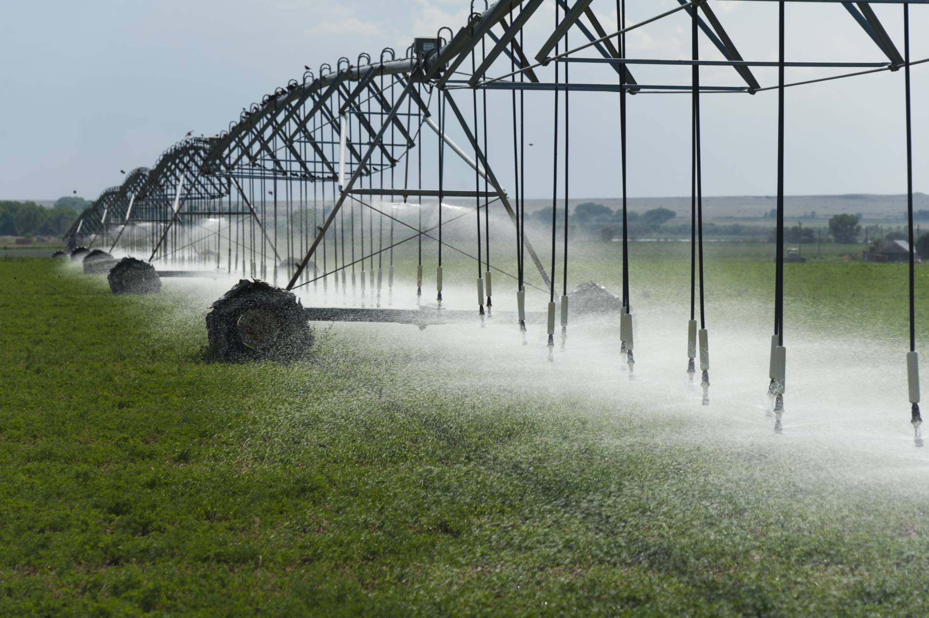 Water Management - CSU Extension