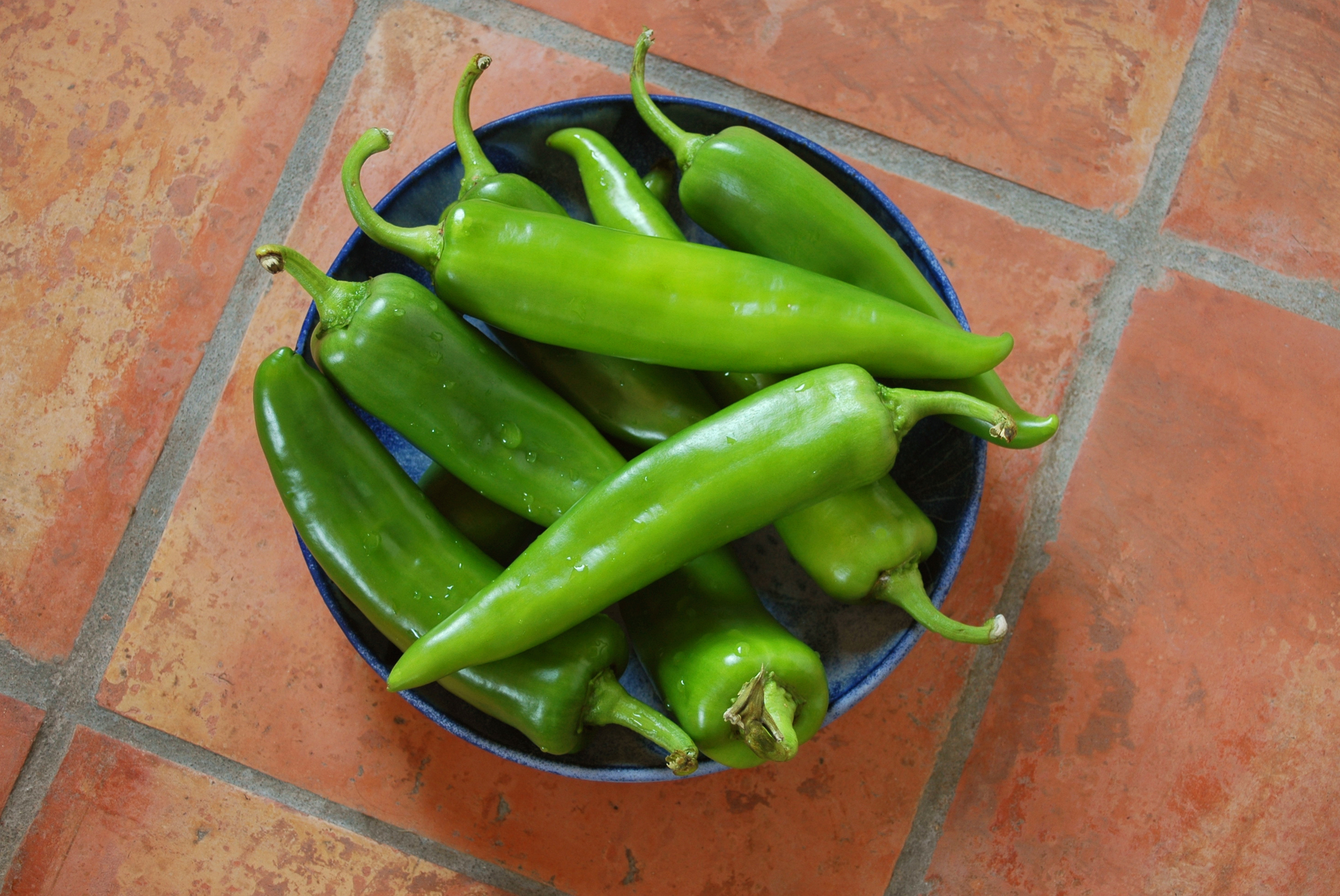 Roasting Chile Peppers | CSU Extension