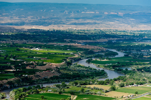 Give to CSU Extension | Colorado State University
