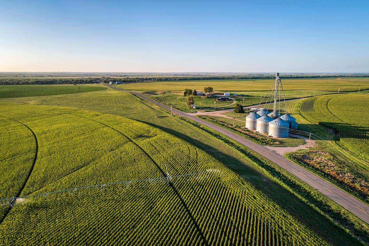 Crops - CSU Extension