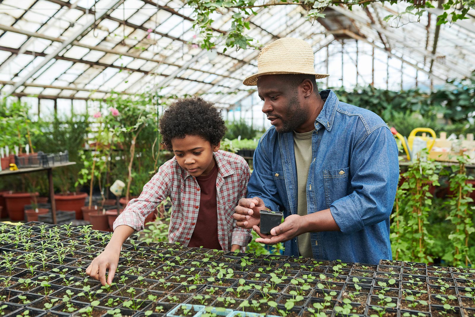 Programs & Services | Colorado State University Extension