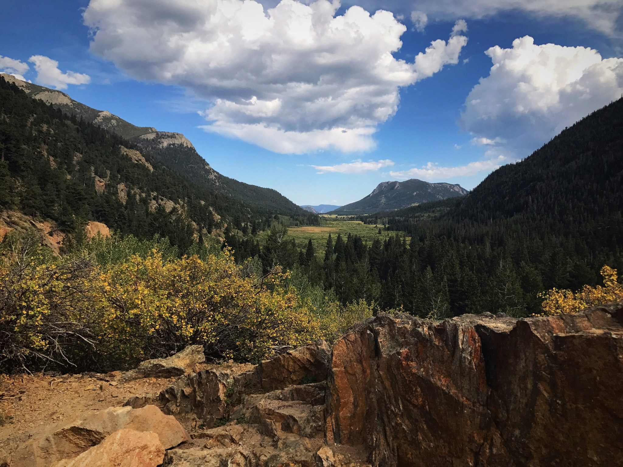 Forestry | Colorado State University Extension