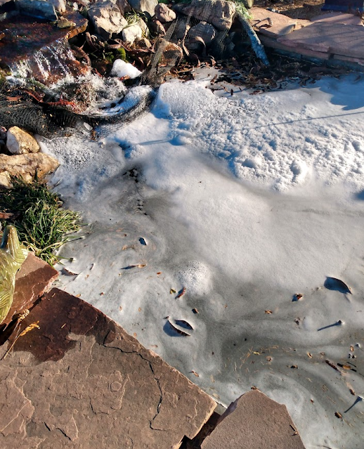 The Curious Incident of the Foam in the Nighttime | Colorado State ...