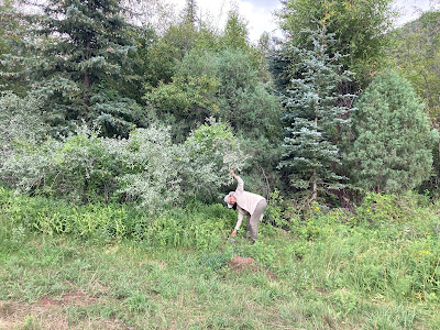 Native Fruits of the San Miguel Basin | Colorado State University Extension