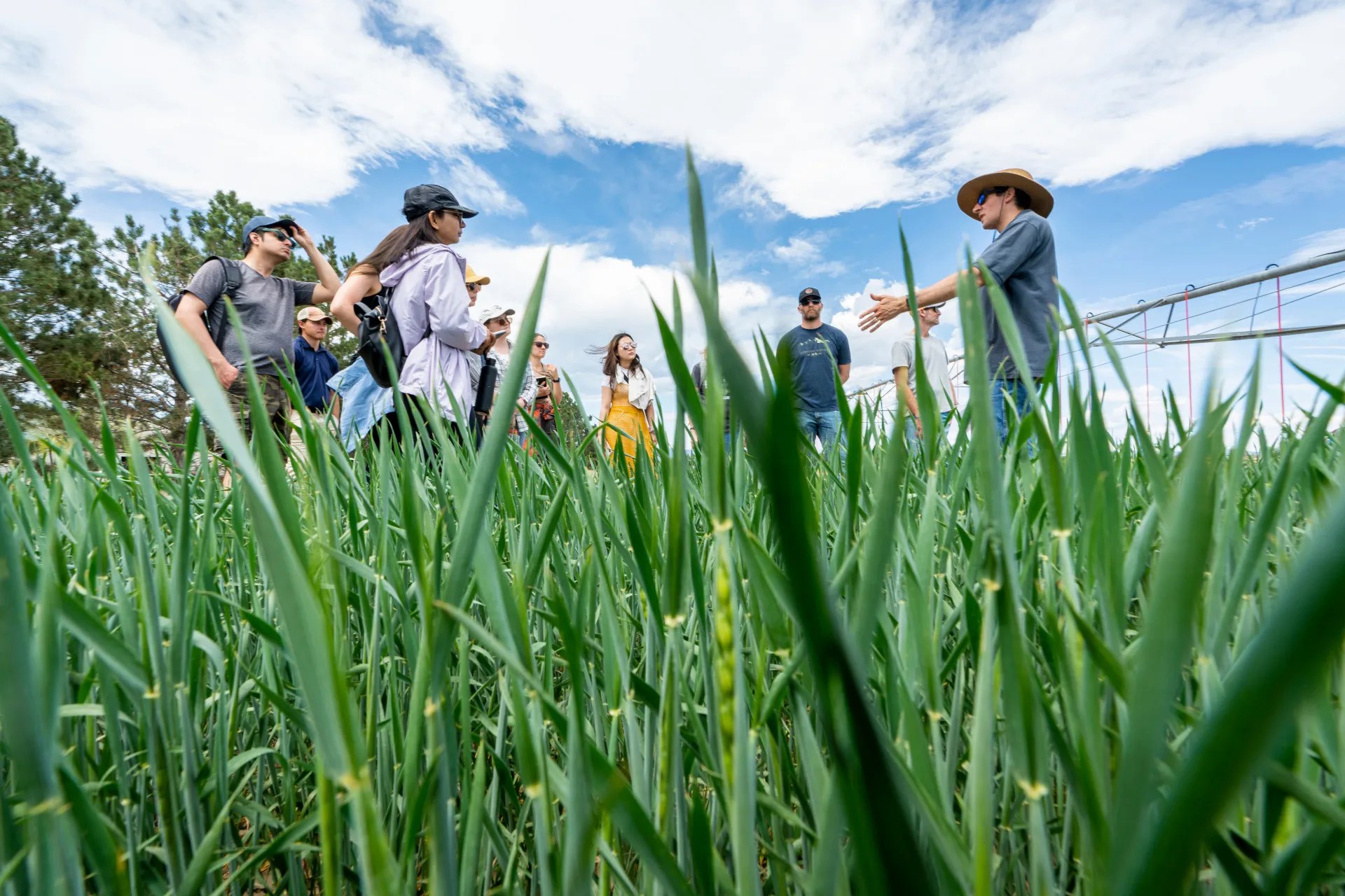CSU Extension Faculty | Colorado State University Extension Website