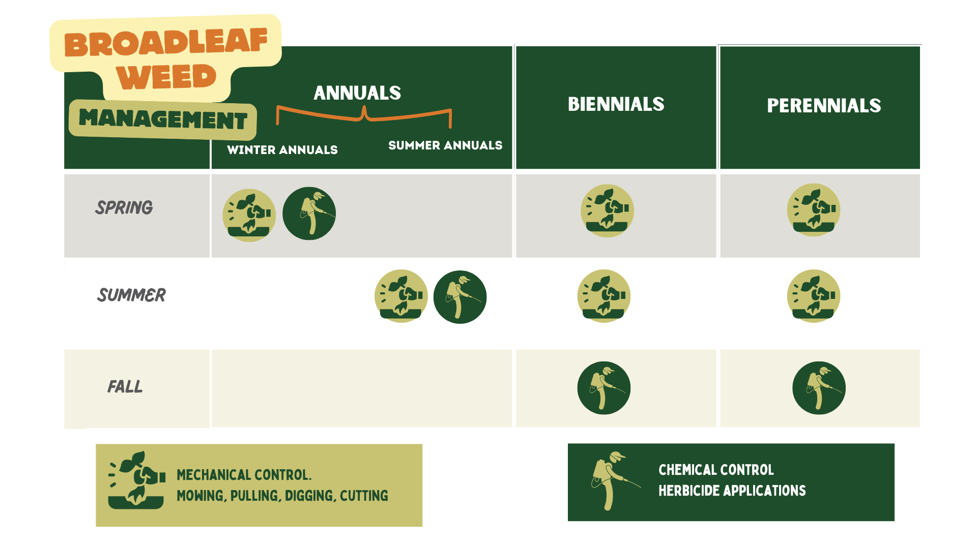 Weeds | Colorado State University Extension