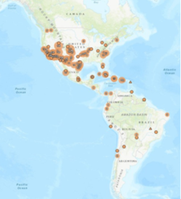 Tarantula Hawks of Colorado | CSU Extension