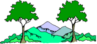 Tree Placement: Right Plant, Right Place | CSU Extension
