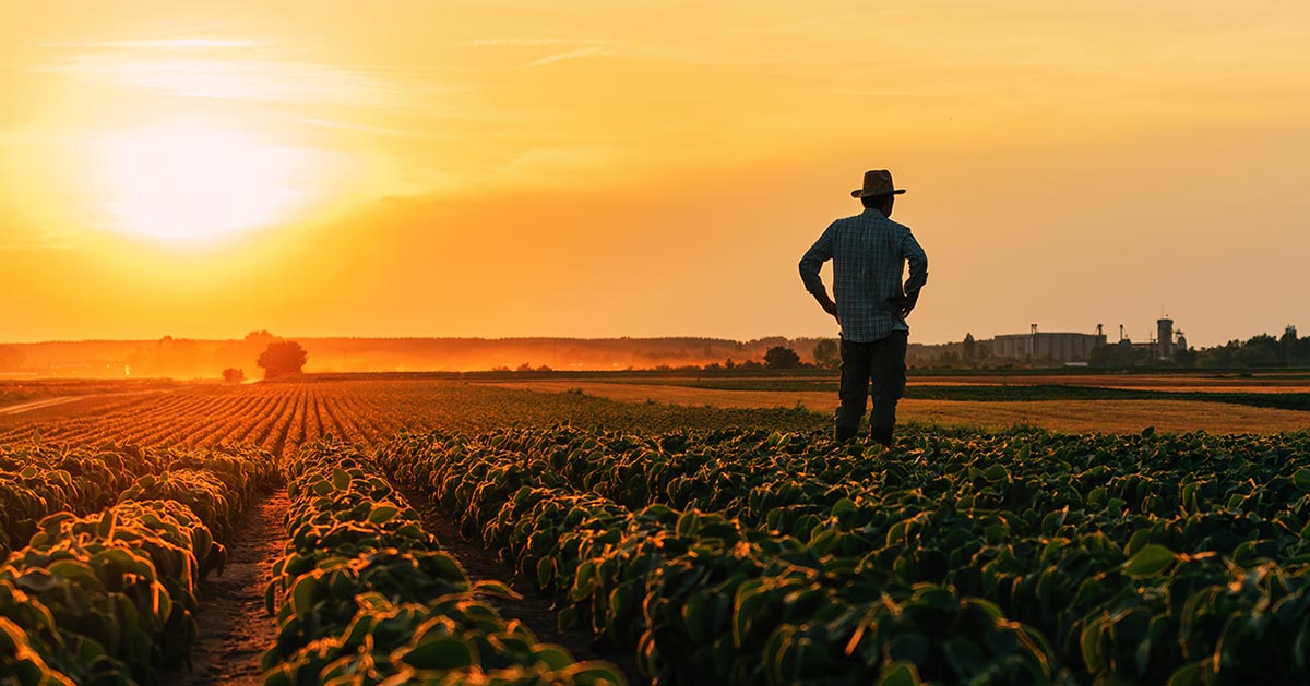 Programs & Services | Colorado State University Extension