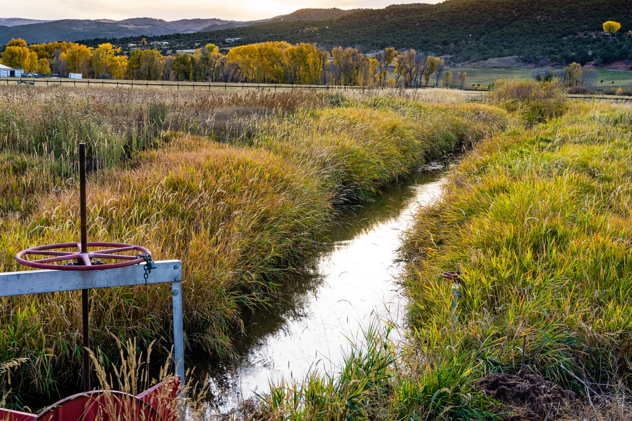 Understanding Decreed Water Rights in Colorado | CSU Extension